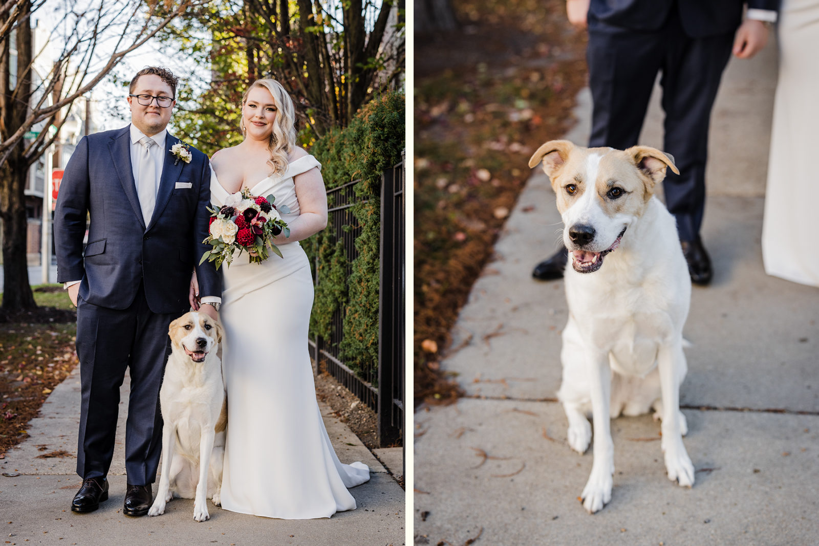 Garfield Park Conservatory Wedding | Jessica + Nick